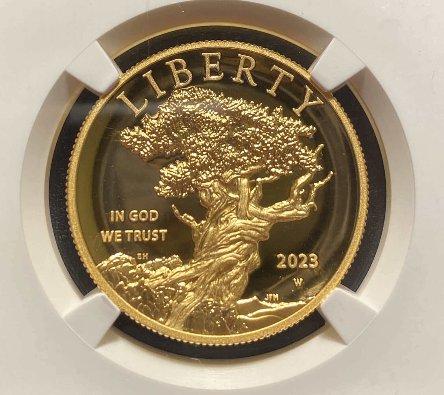 2023 High Relief Gold $100 Coin – U.S. Mint Ultra High Relief .9999 ...